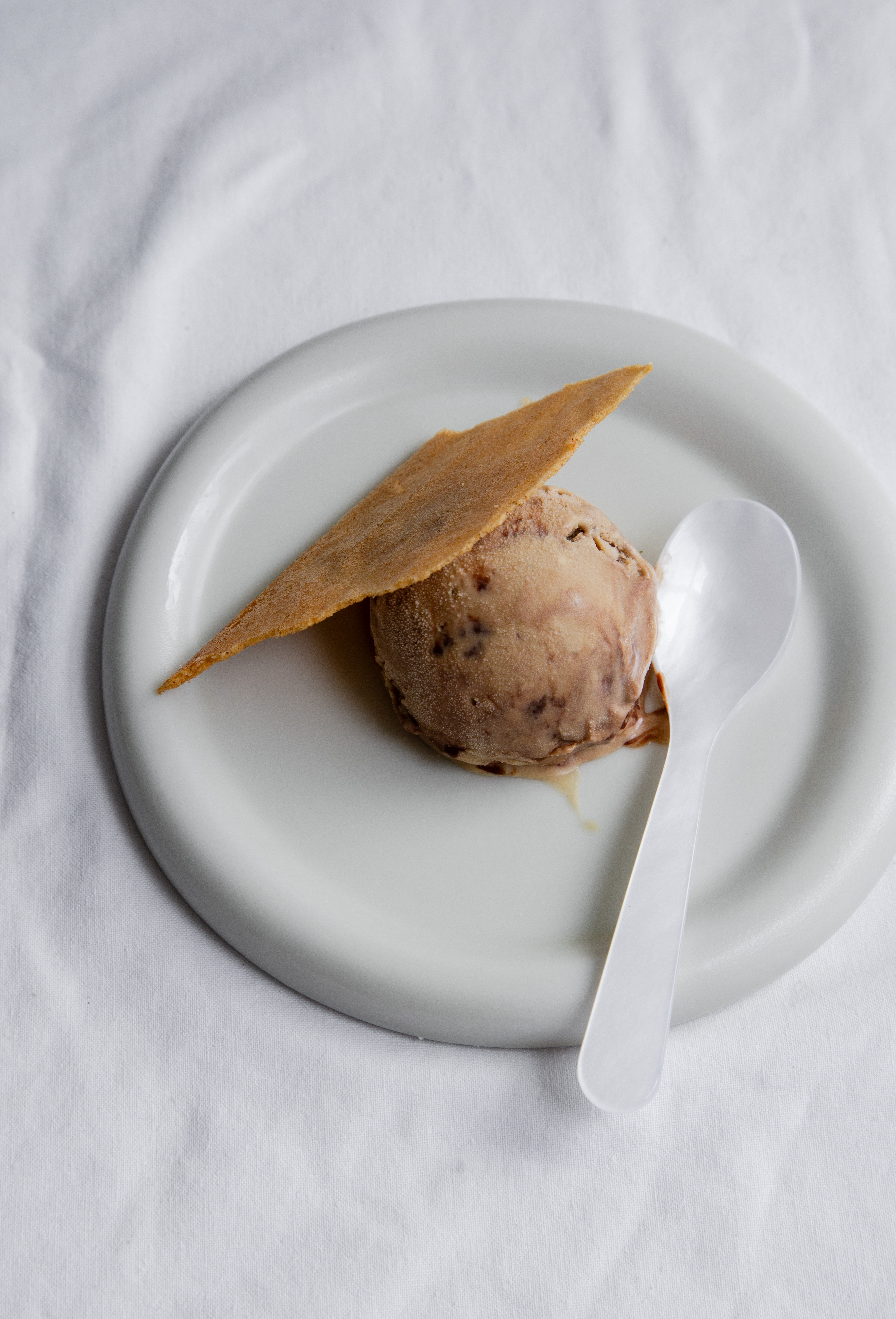Coffee Fudge Swirl Ice Cream – Beyond Our Sky